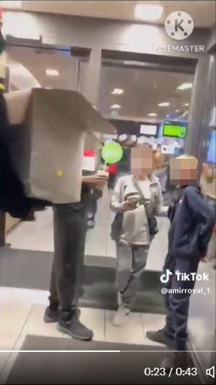 Someone Let Loose Three Boxes Of Live Mice In A Mcdonalds In Protest