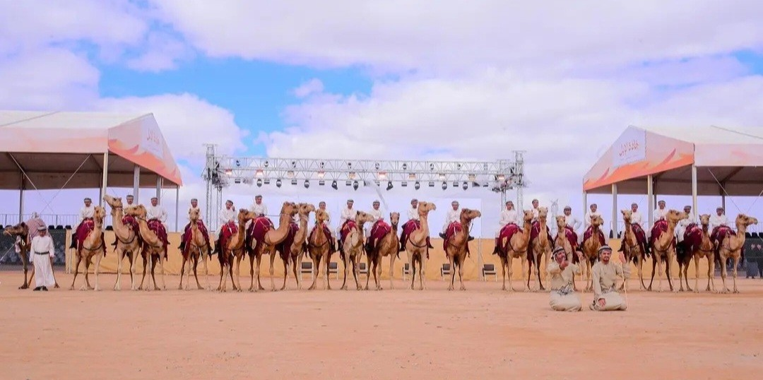 Sultanate’s Royal Camel Corps Displays 11 Spectacular Arts at "Camel ...